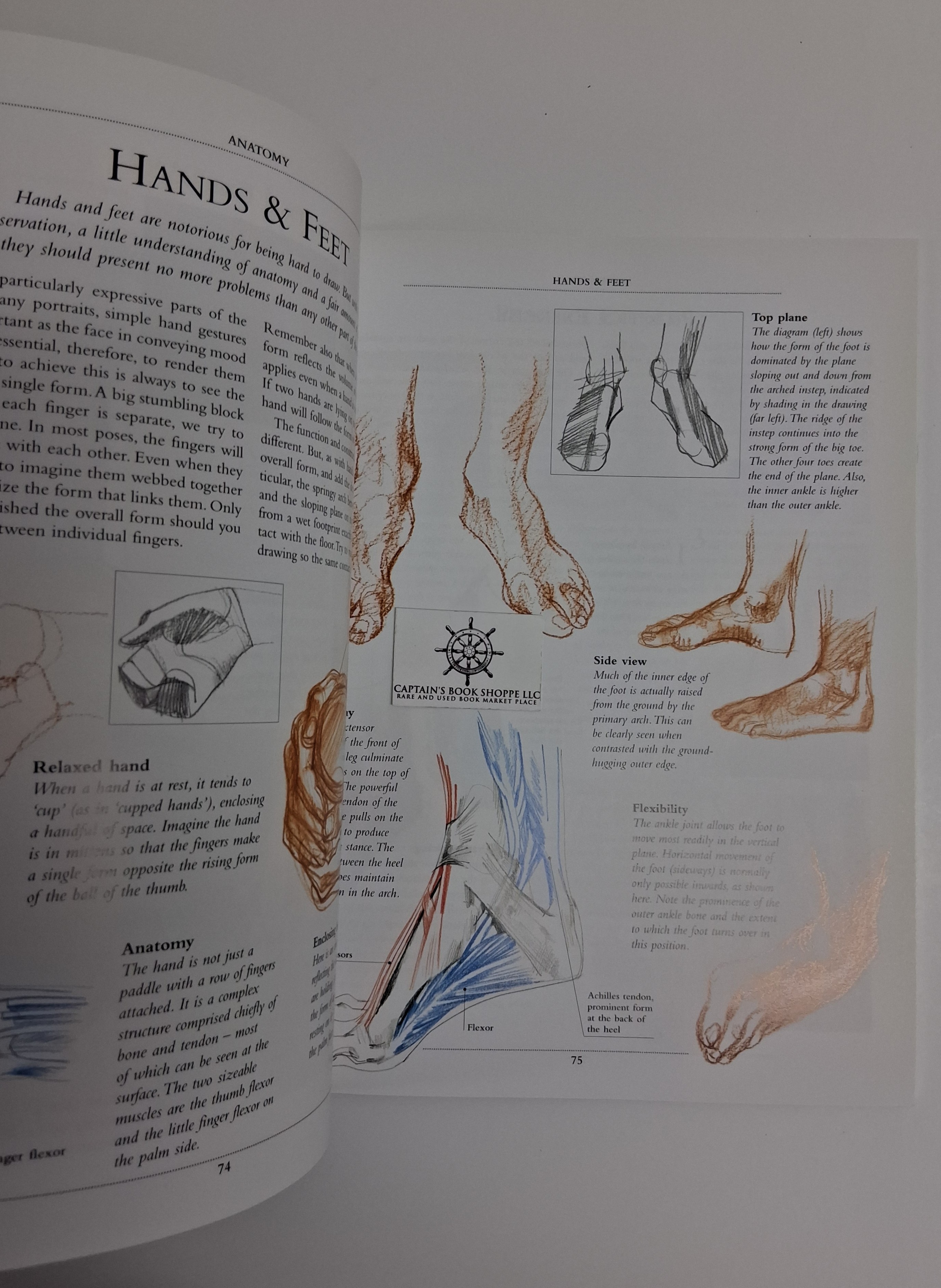 A Step-By-Step Guide to Drawing the Figure