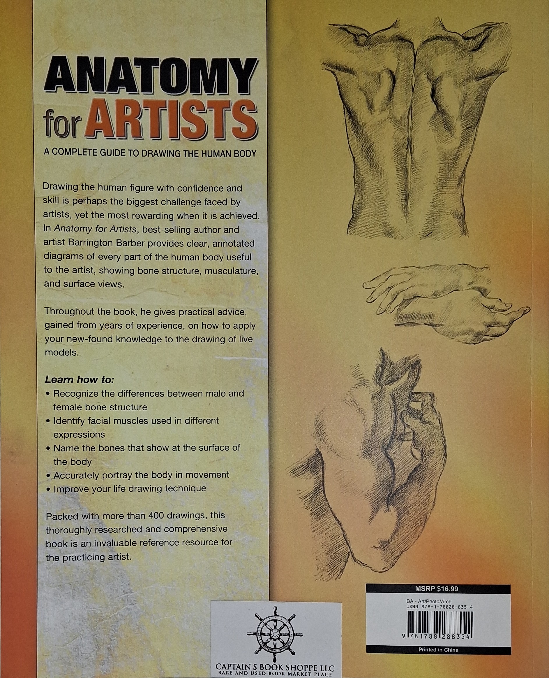 Anatomy For Artists